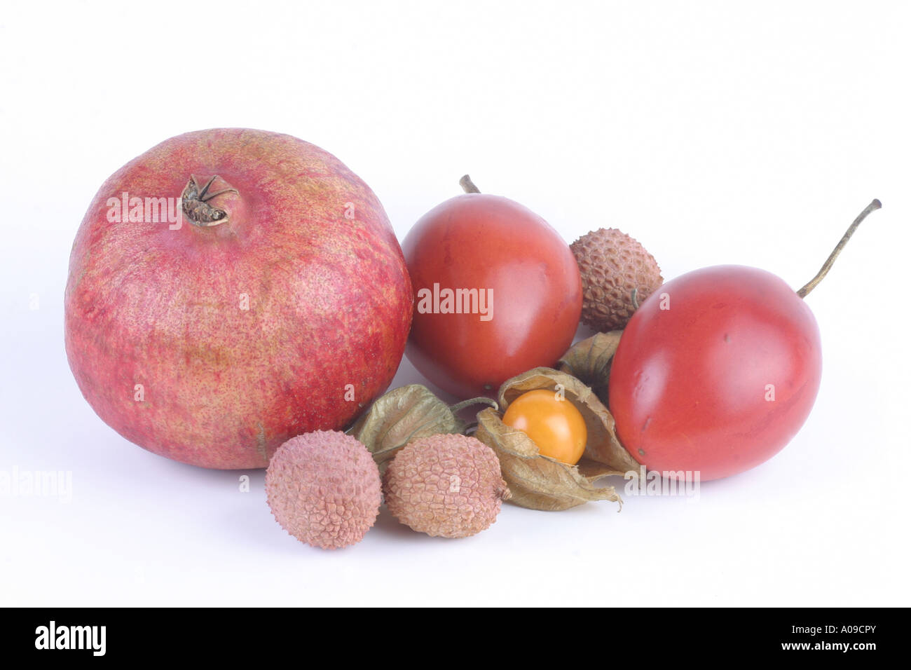 Lychee fruits litchi chinensis trees hi-res stock photography and ...