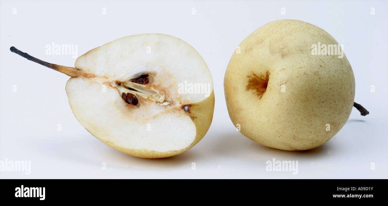 Shinseiki Asian pear, Asian pear (Pyrus pyrifolia), distribution ...