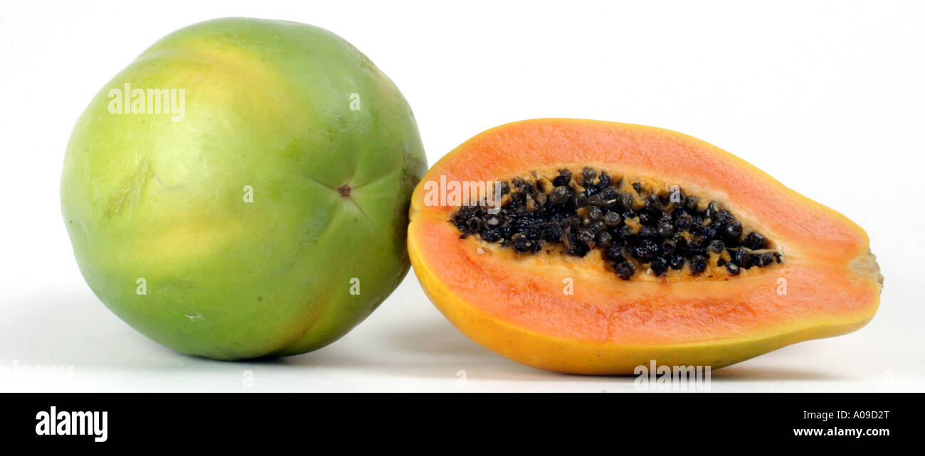 papaya, papaw, paw paw, mamao, tree melon (Carica papaya), origin ...