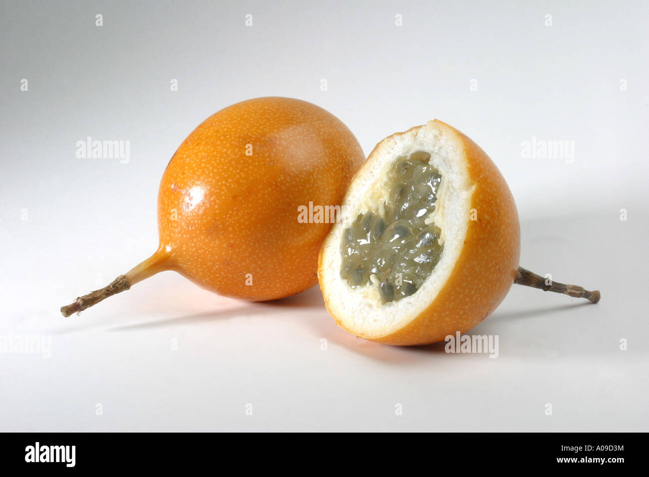 sweet granadilla (Passiflora ligularis), origin: South America Stock ...