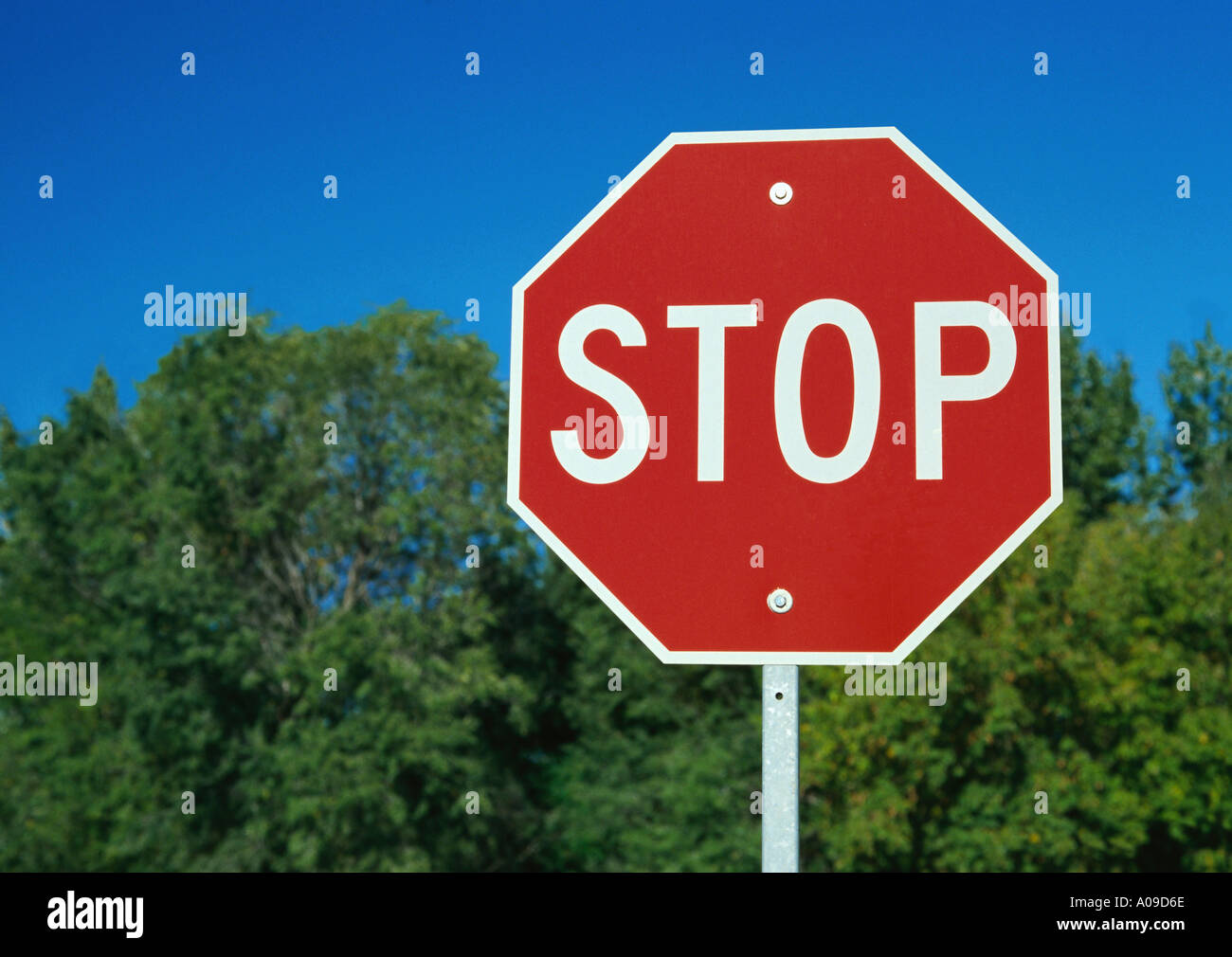 A red and white hexagonal stop sign on a metal post with treetops and a ...