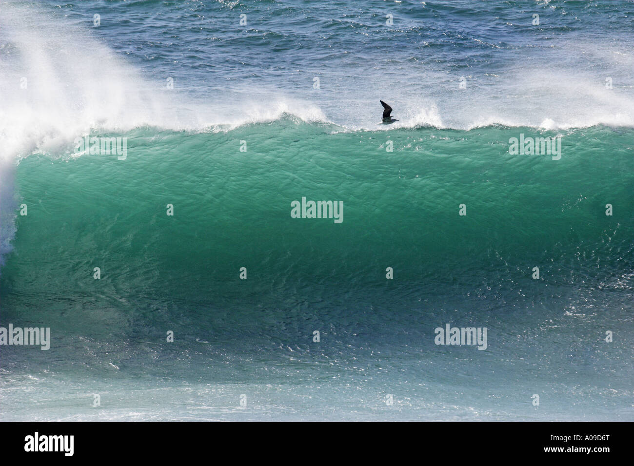 J wave hi-res stock photography and images - Alamy