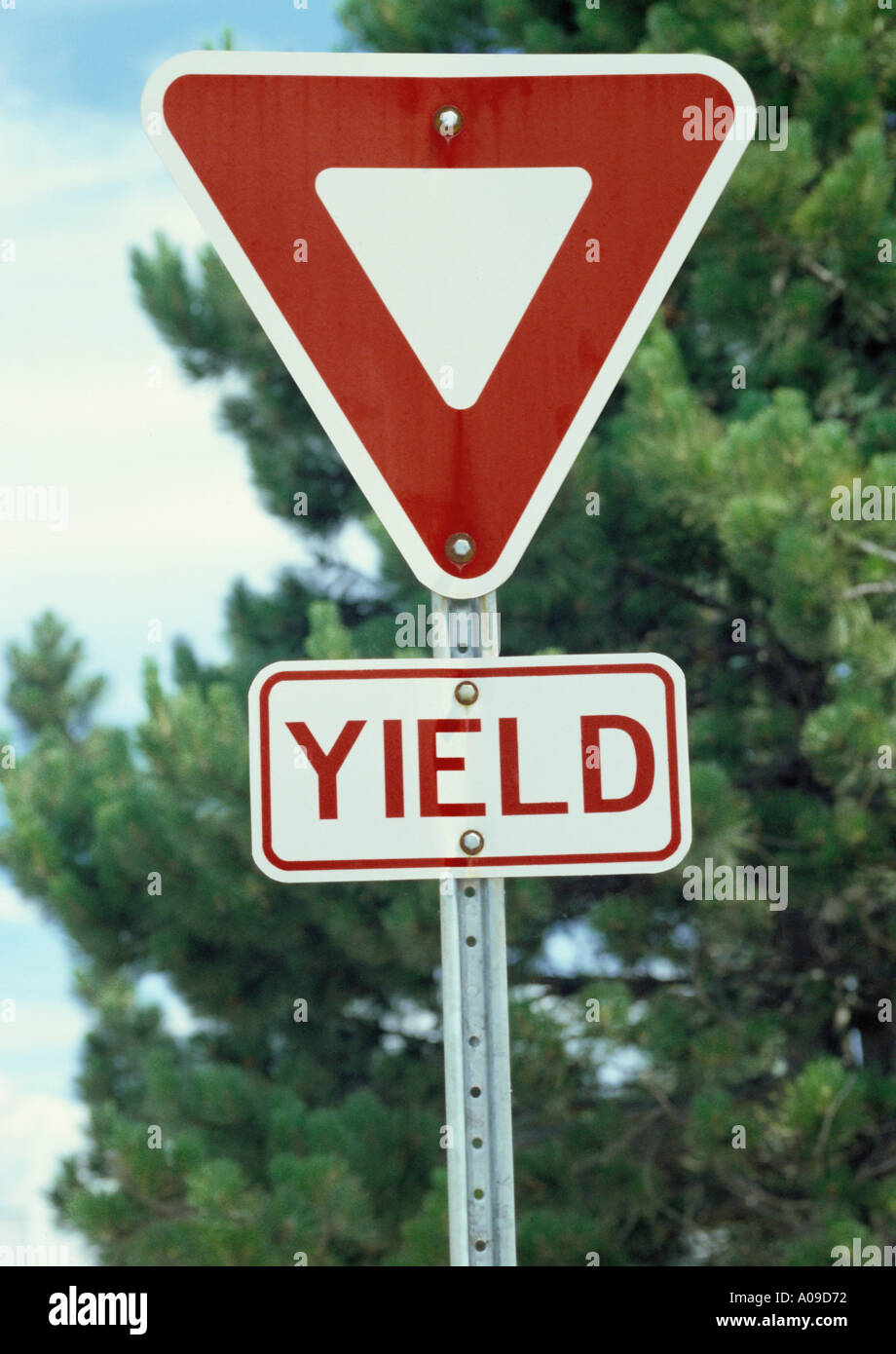 A red and white triangular yield sign on a metal post with a large ...