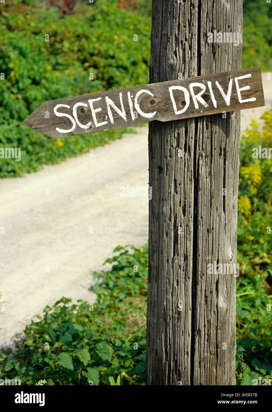 A hand painted weathered wooden directional scenic drive road sign on a ...