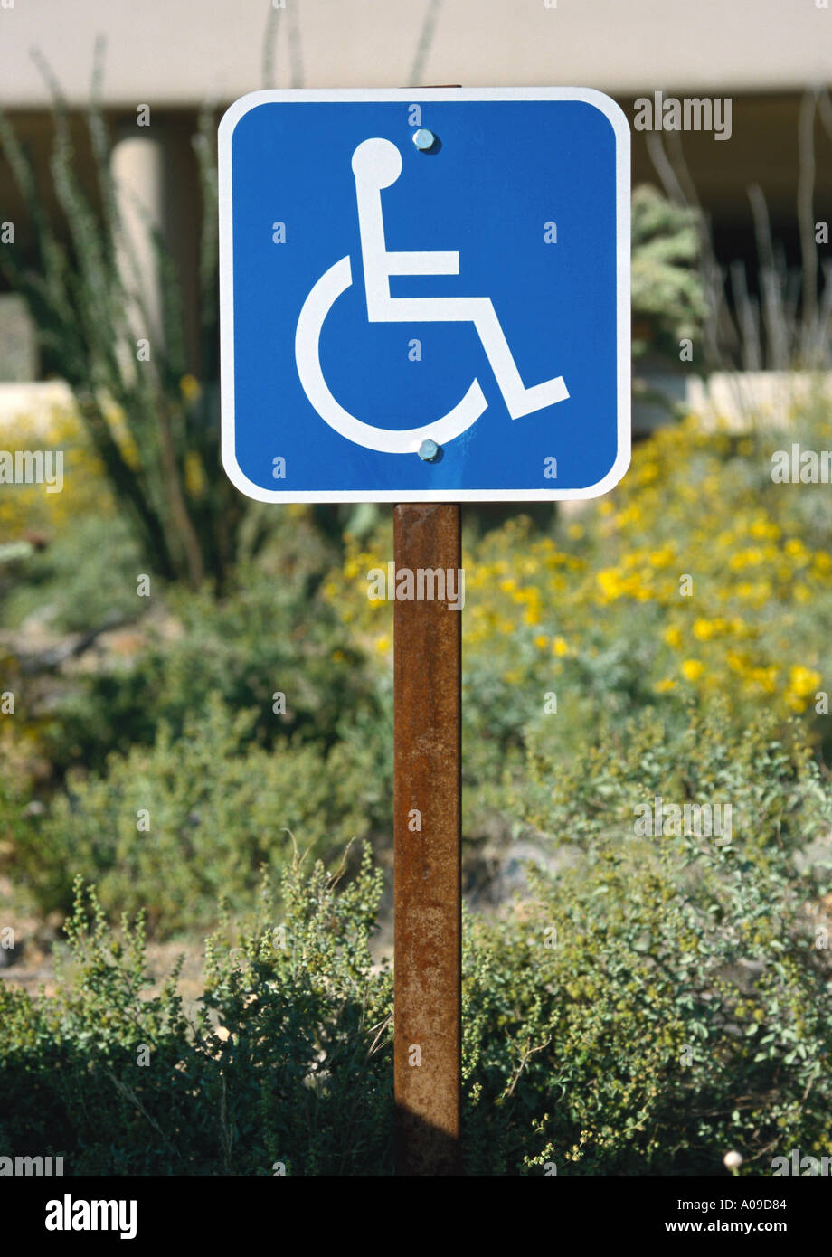 Handicapped or disabled person parking sign Stock Photo - Alamy