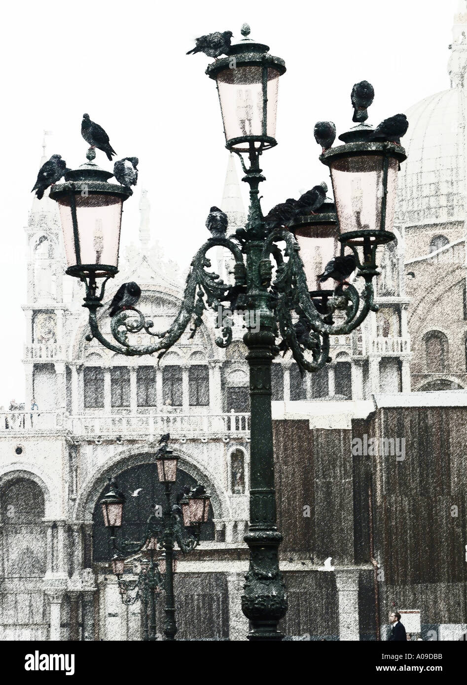 Pigeons in Venice Stock Photo - Alamy