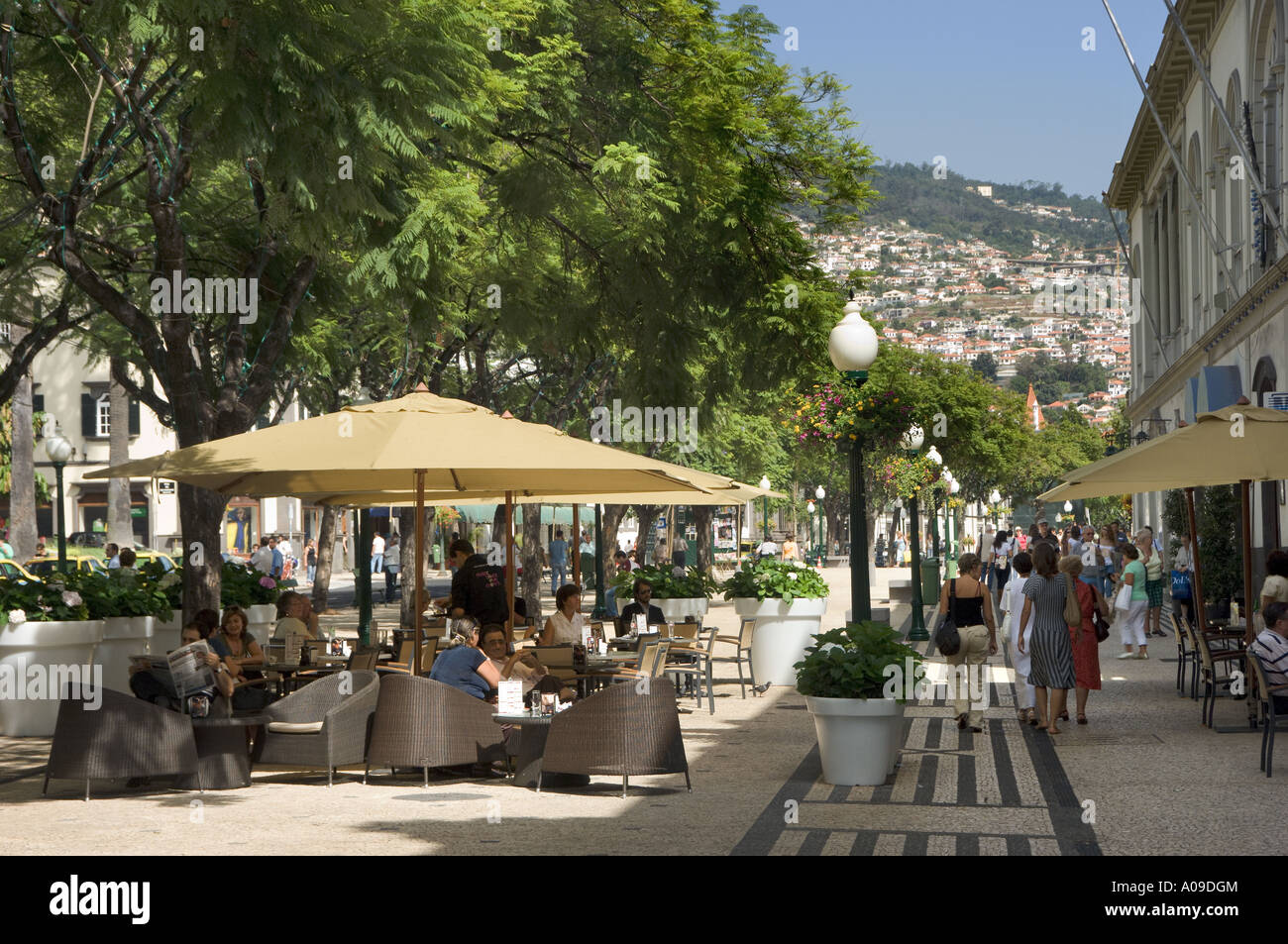 Portugal Madeira, Funchal street scene Avenida Arriaga, street cafés ...