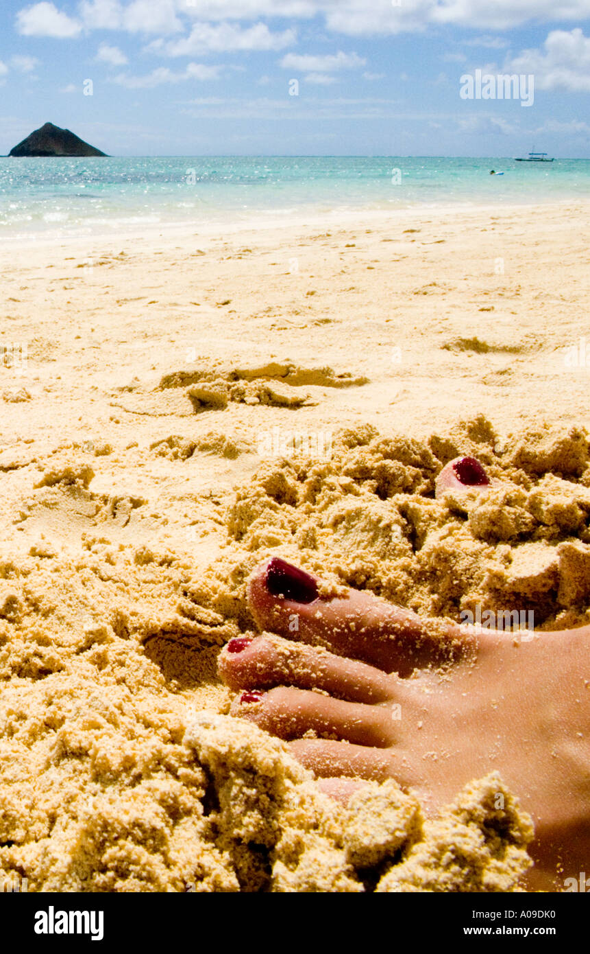 The wiggles hi-res stock photography and images - Alamy