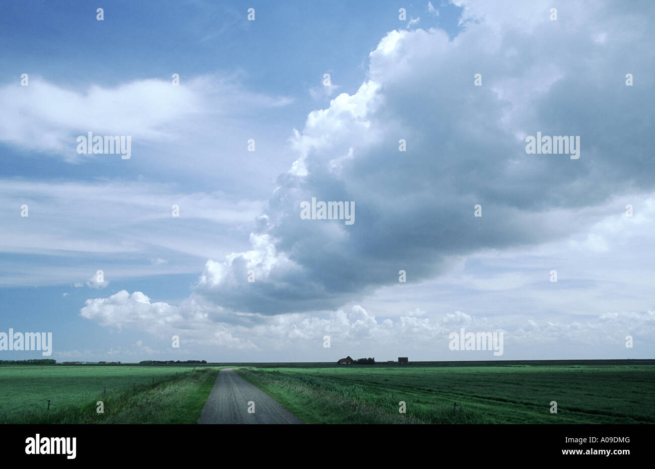 Cumulus mediocris hi-res stock photography and images - Alamy