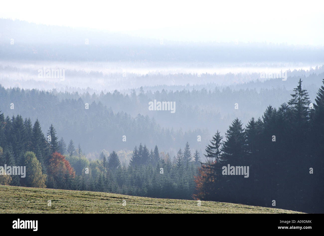Ecosystem atmosphere hi-res stock photography and images - Alamy