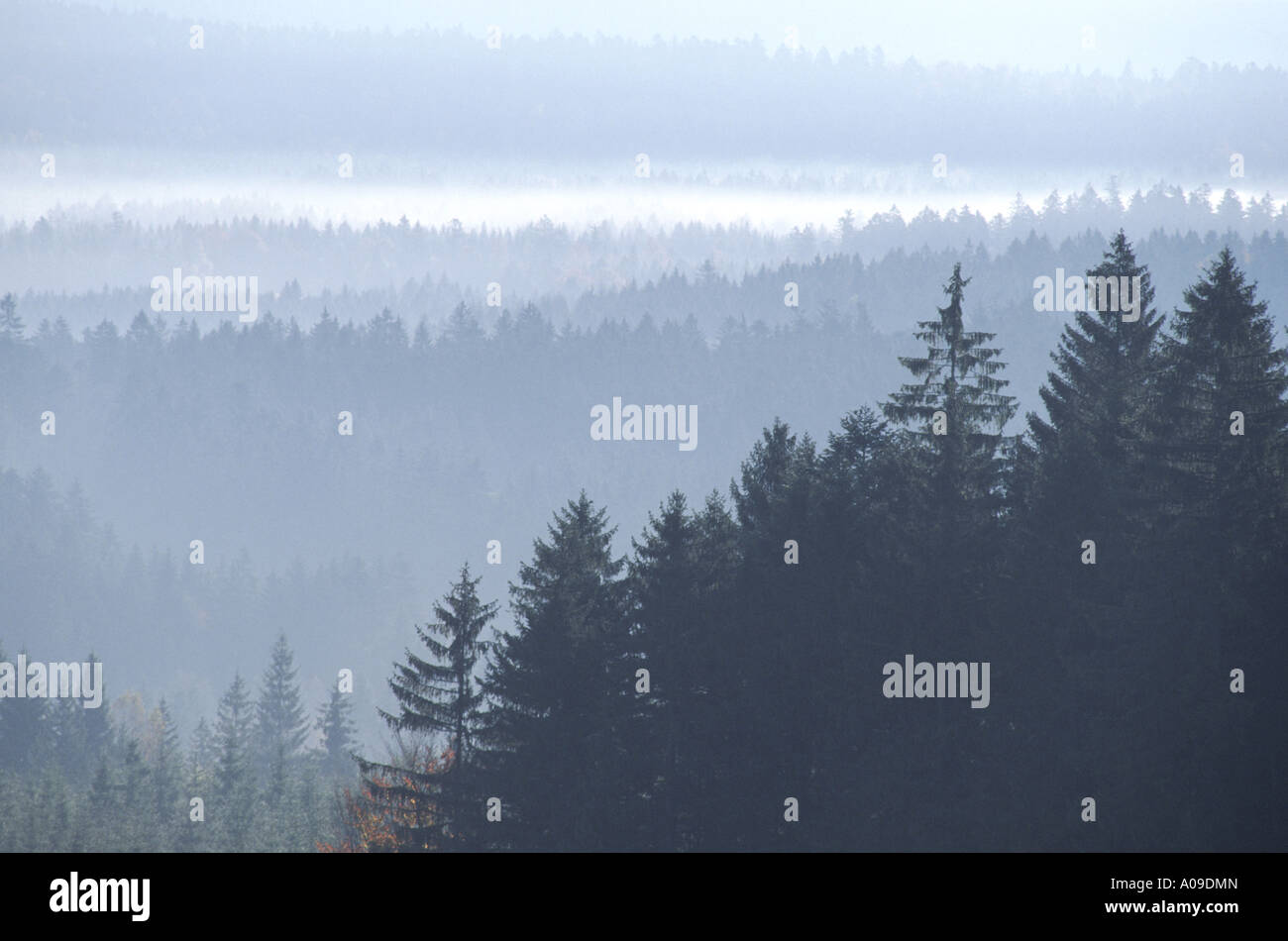 Ecosystem atmosphere hi-res stock photography and images - Alamy