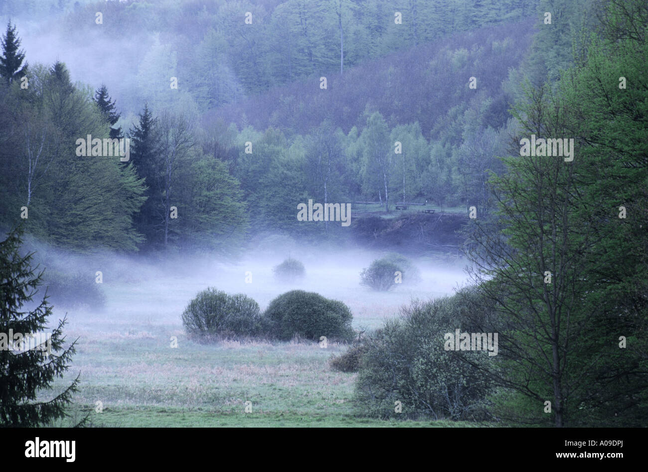 Fog raising in valley hi-res stock photography and images - Alamy