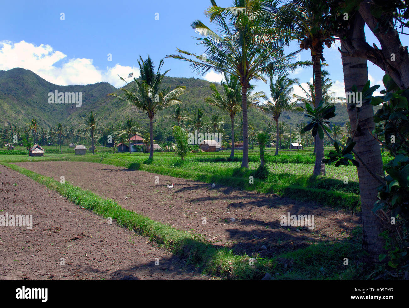 Bunutan hi-res stock photography and images - Alamy