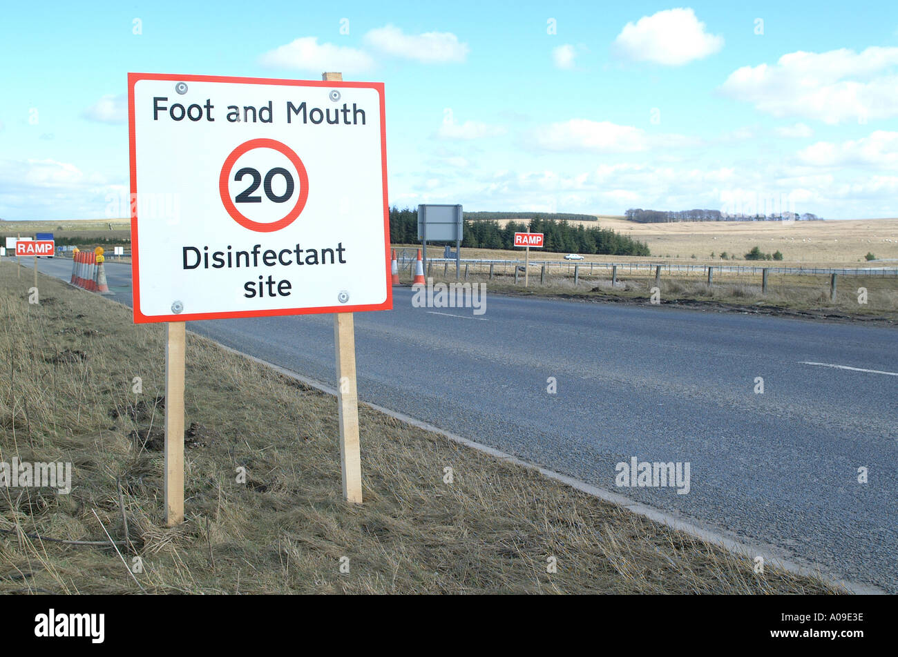 foot and mouth sign disease fmd disinfectant site Stock Photo - Alamy