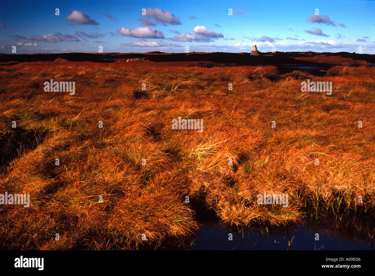 SSSI, Pennine Way and Trig point at Soldier's Lump summit, Black Hill ...