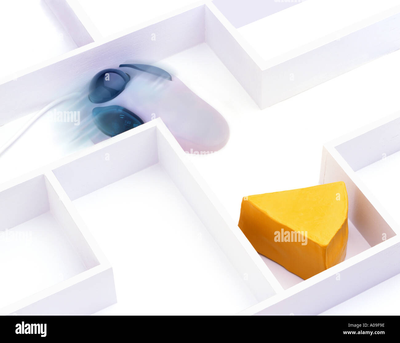 Mouse maze cheese hi-res stock photography and images - Alamy