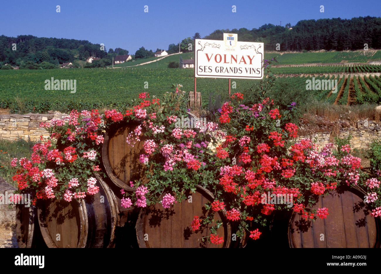 Volnay hi-res stock photography and images - Alamy