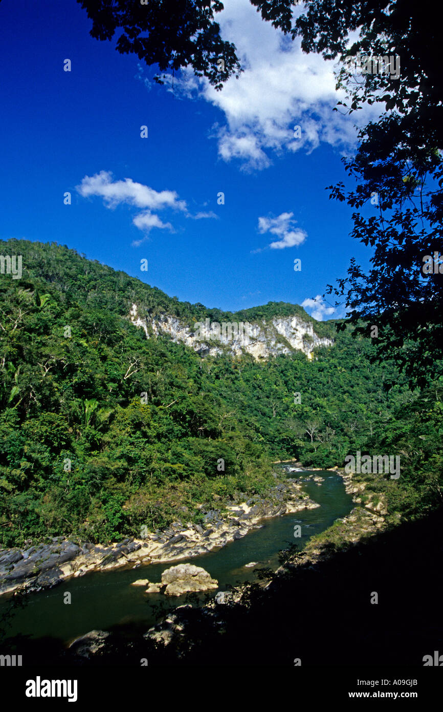 Macal river belize hi-res stock photography and images - Alamy