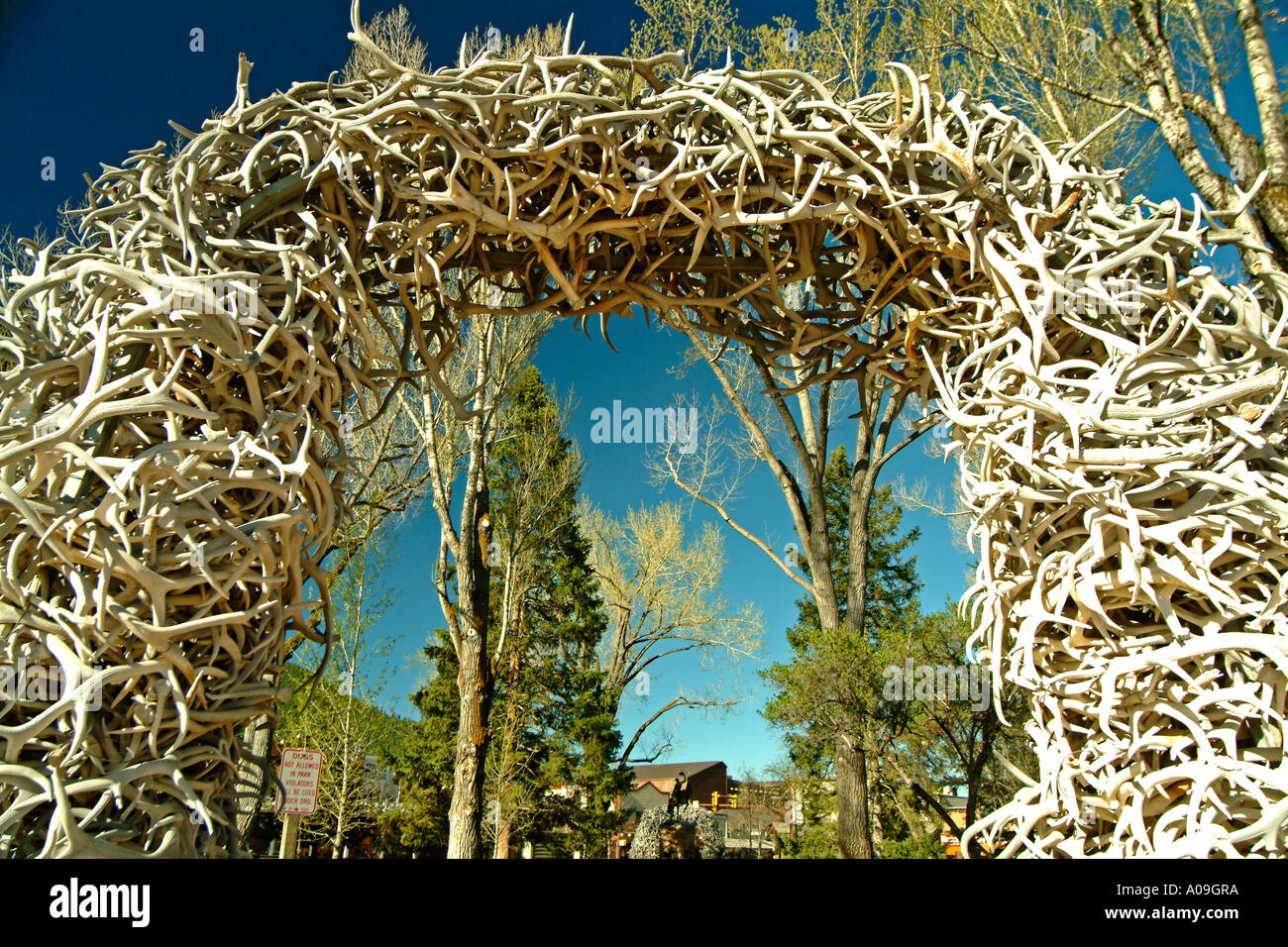 Elk Antler Arch, Jackson, WY Stock Photo - Alamy