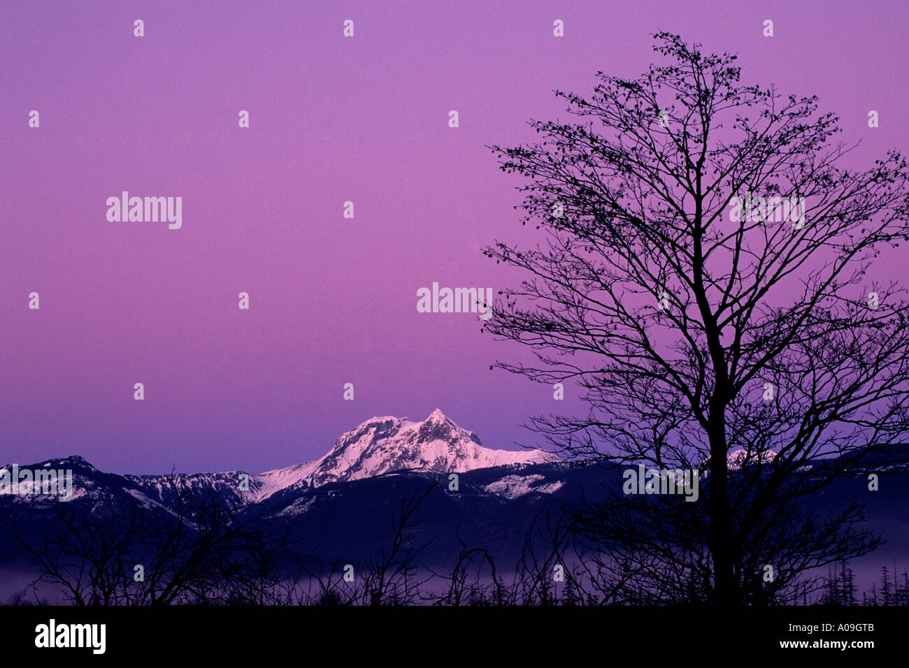 Mt garibaldi hi-res stock photography and images - Alamy