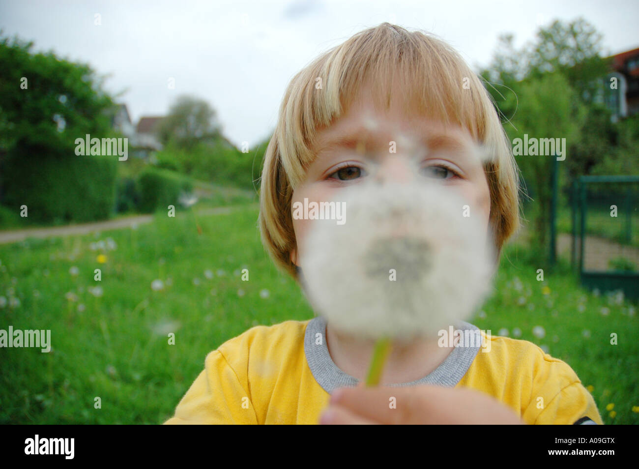 Children child boy blowball hi-res stock photography and images - Alamy