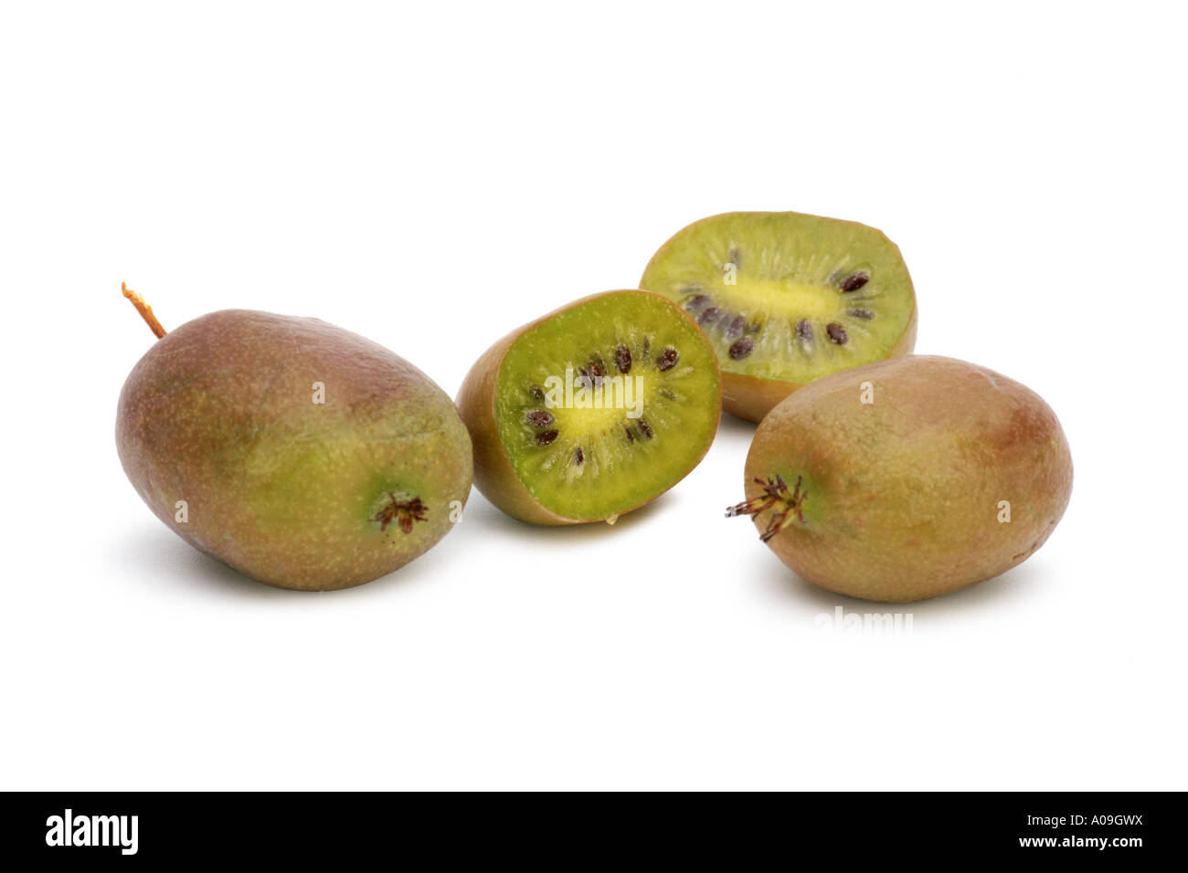 Tara Vine, Bower Actinidia, Mini Kiwi (Actinidia arguta), fruits, one ...