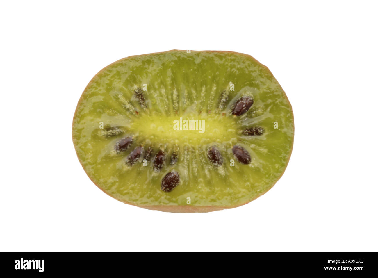 Tara Vine, Bower Actinidia, Mini Kiwi (Actinidia arguta), cross section ...
