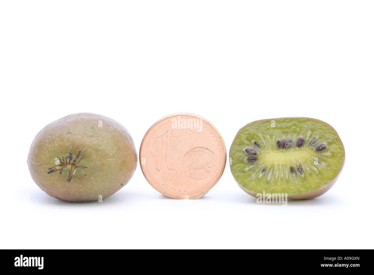 Tara Vine, Bower Actinidia, Mini Kiwi (Actinidia arguta), size ...