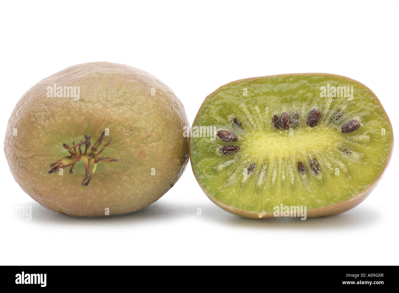 Tara Vine, Bower Actinidia, Mini Kiwi (Actinidia arguta), fruits, one ...