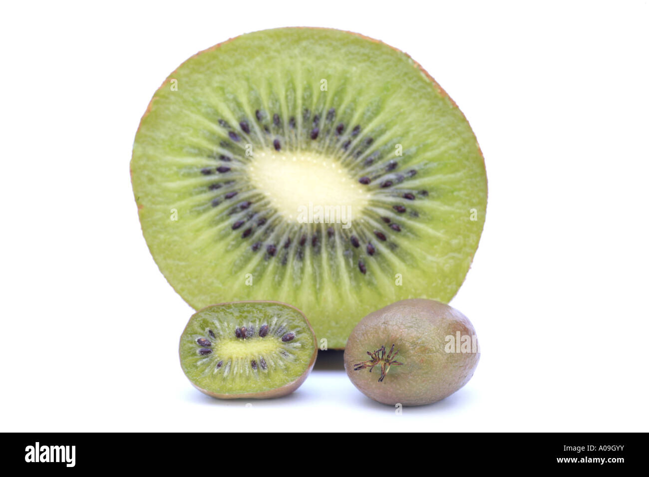 Tara Vine, Bower Actinidia, Mini Kiwi (Actinidia arguta), size ...
