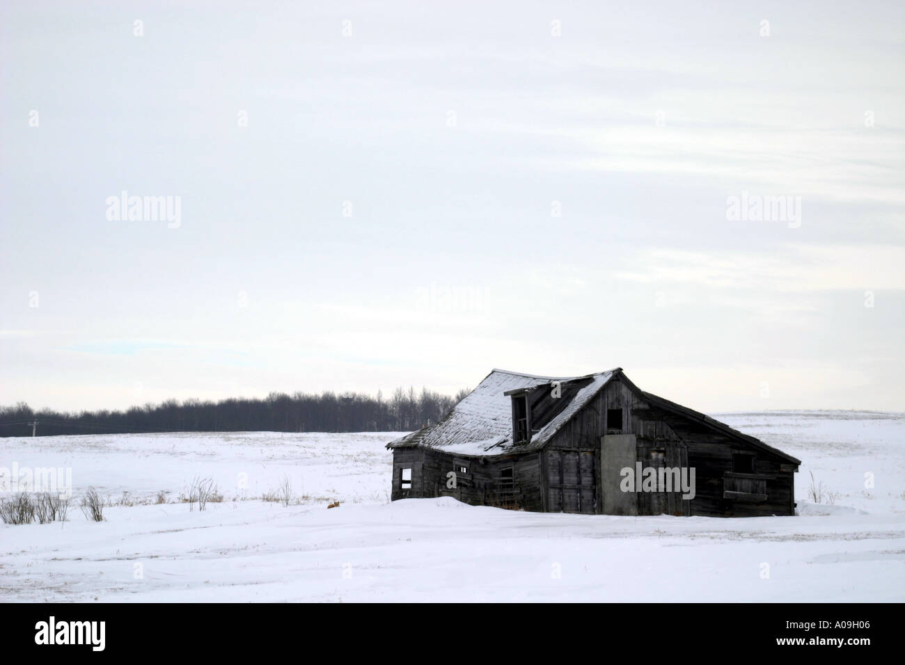 Old abandoned homestead Stock Photo - Alamy