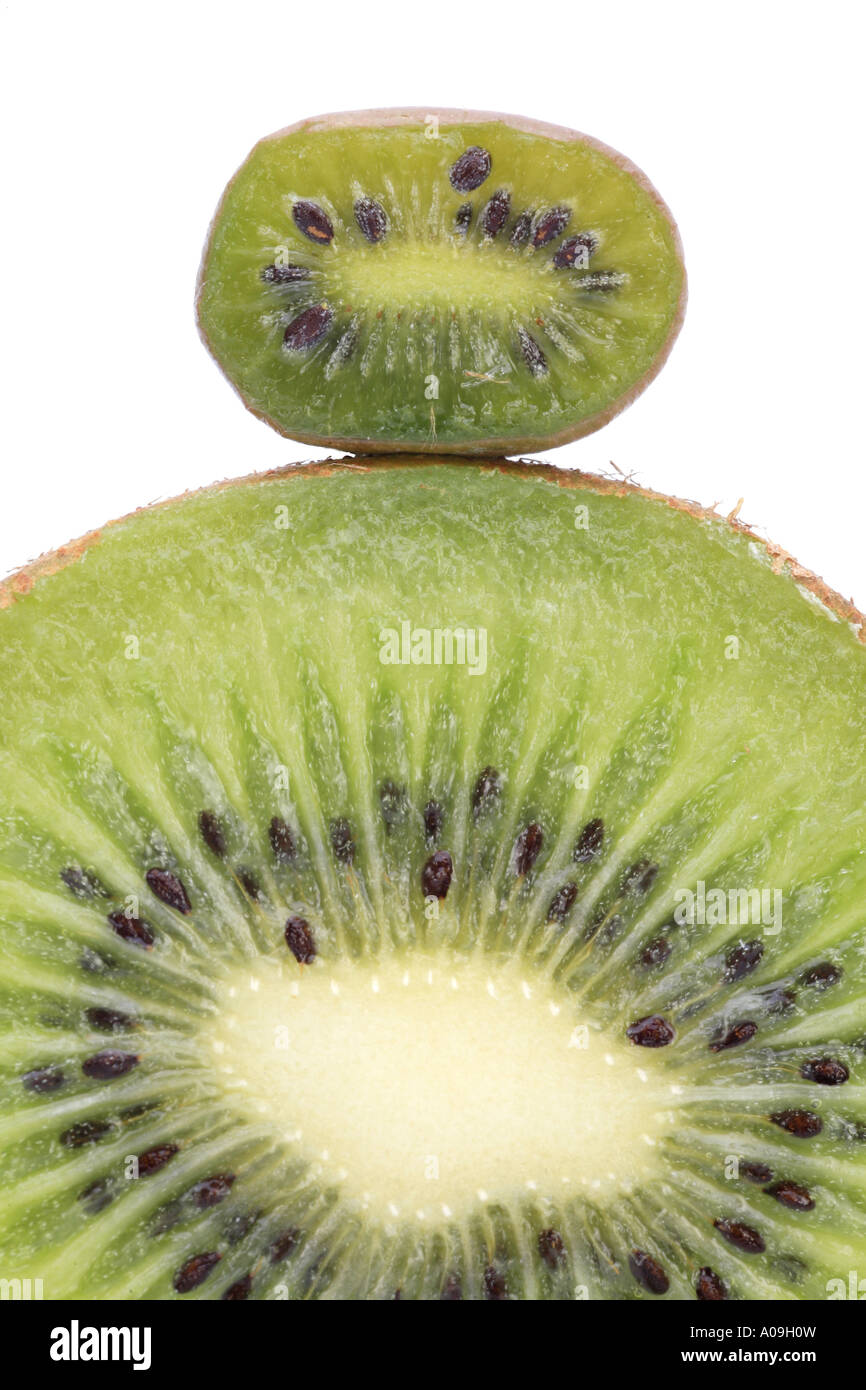 Tara Vine, Bower Actinidia, Mini Kiwi (Actinidia arguta), size ...