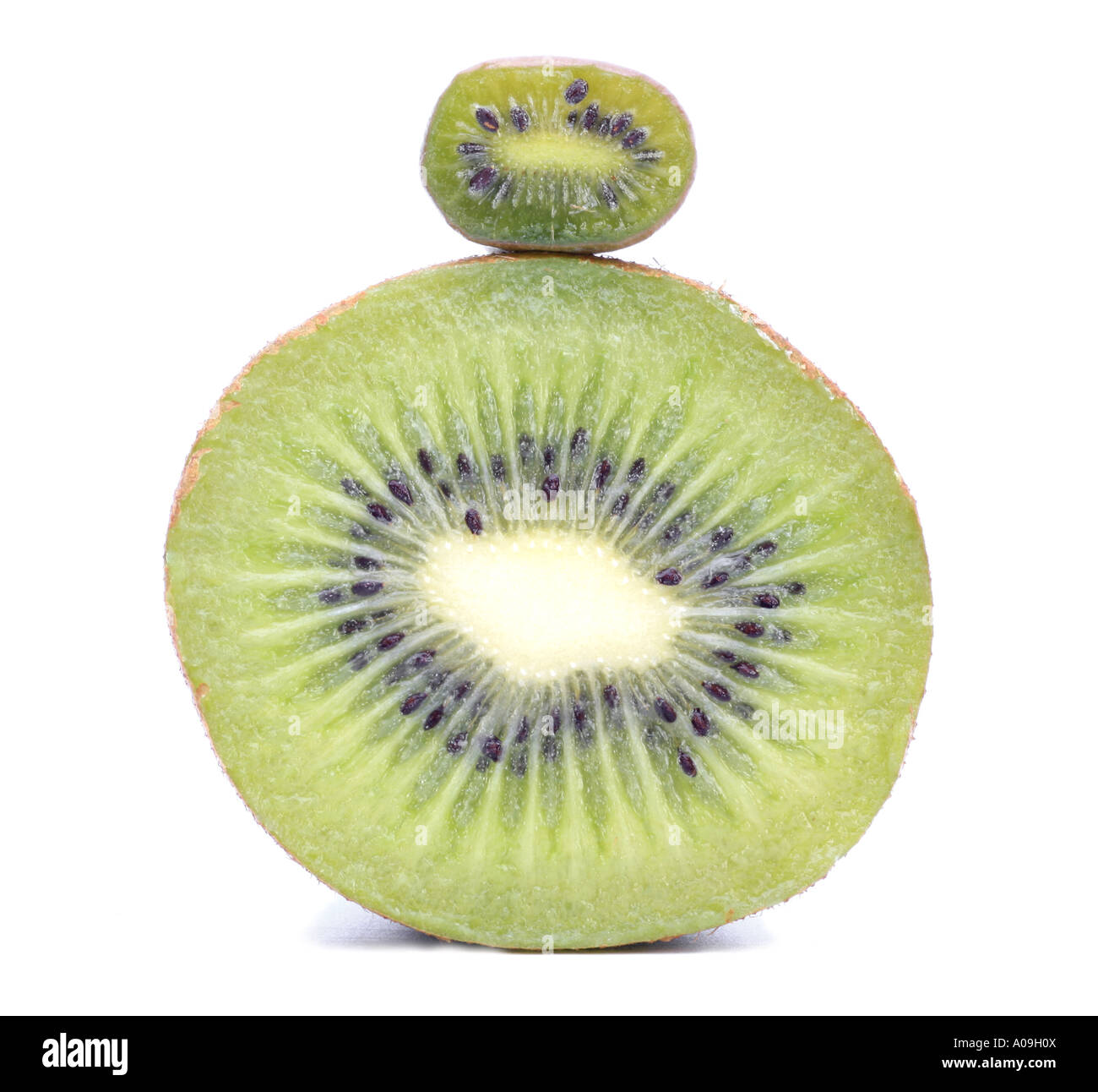 Tara Vine, Bower Actinidia, Mini Kiwi (Actinidia arguta), size ...