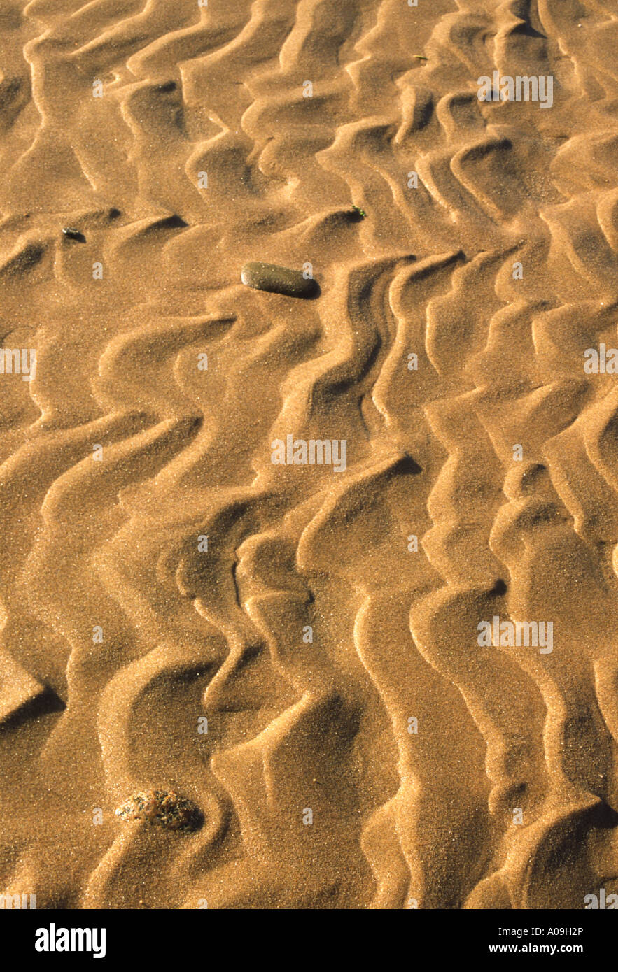 Patterns in wet sand Stock Photo - Alamy