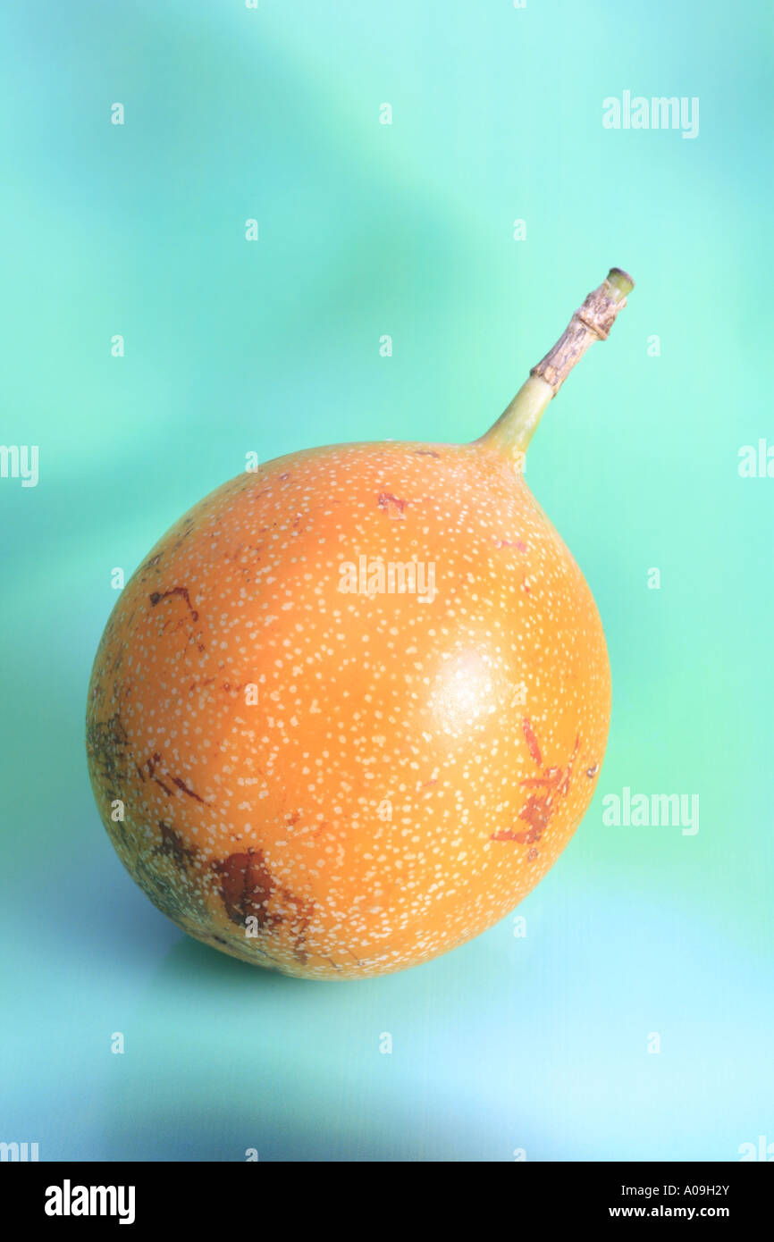 sweet granadilla (Passiflora ligularis), fruit Stock Photo - Alamy