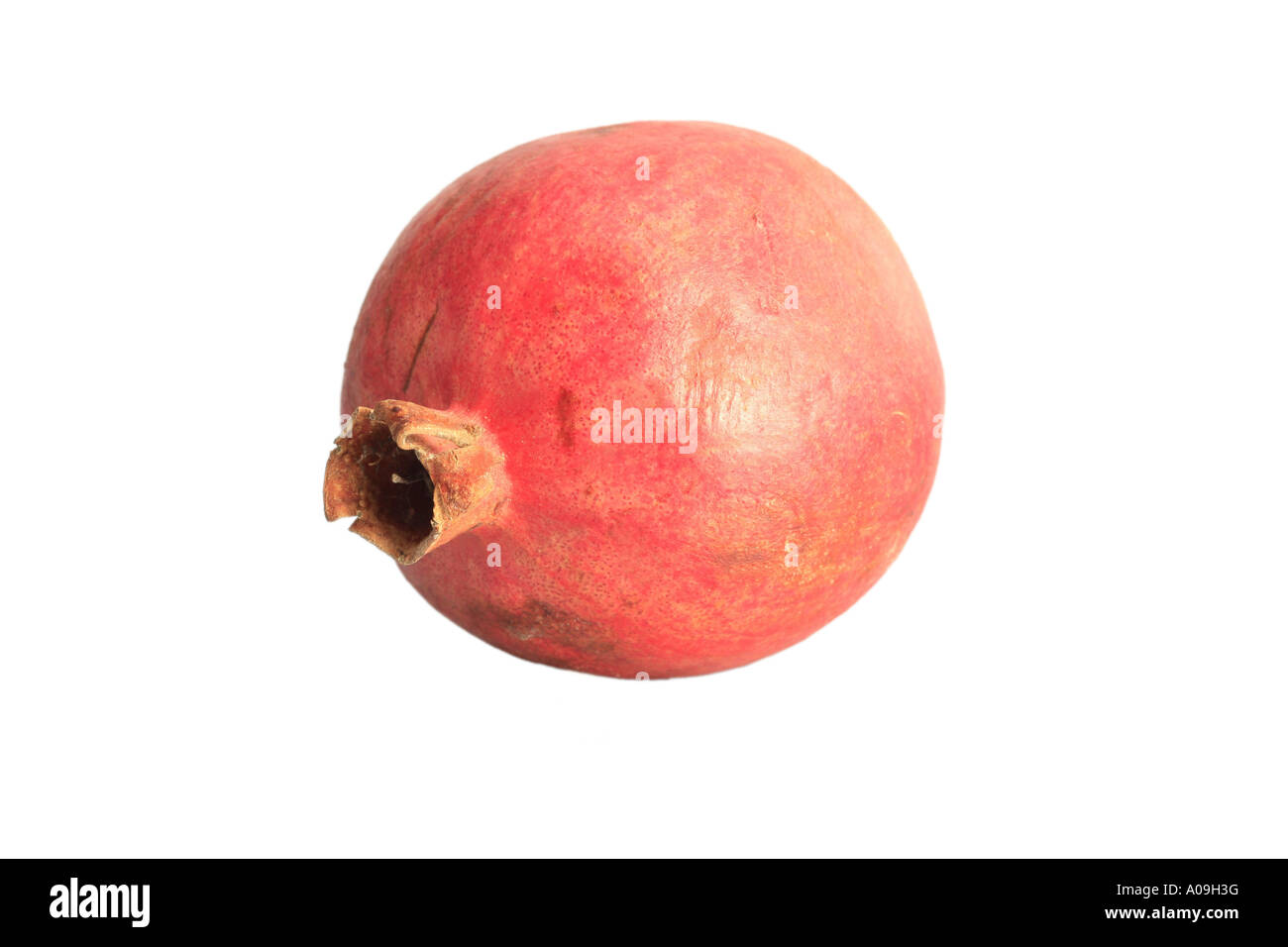 pomegranate, anar (Punica granatum), fruit Stock Photo - Alamy