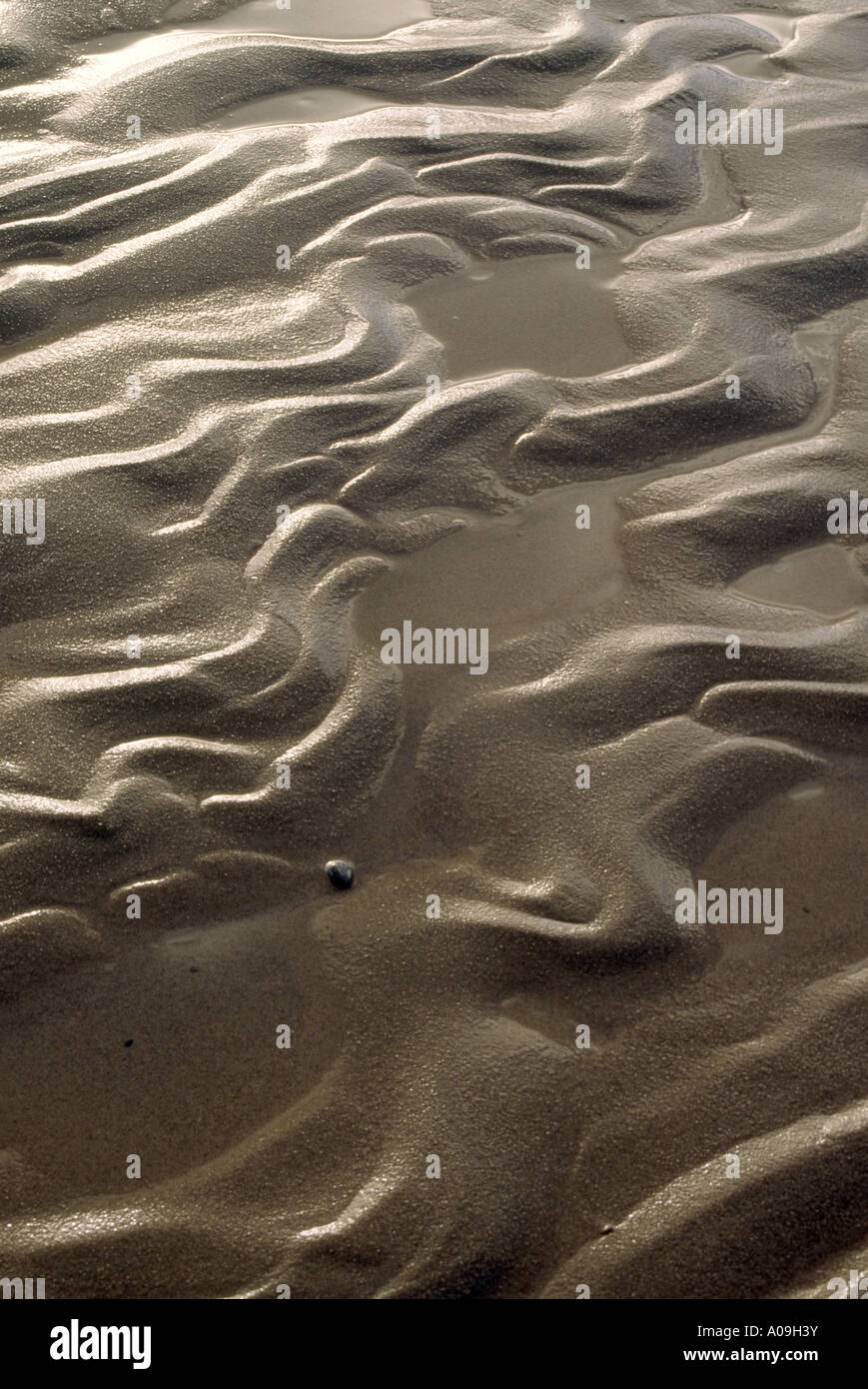 Patterns in the sand Stock Photo - Alamy