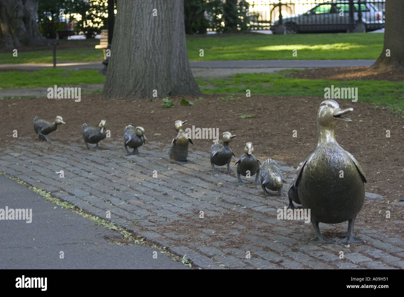 Make Way for Ducklings Boston Public Garden Boston Stock Photo - Alamy