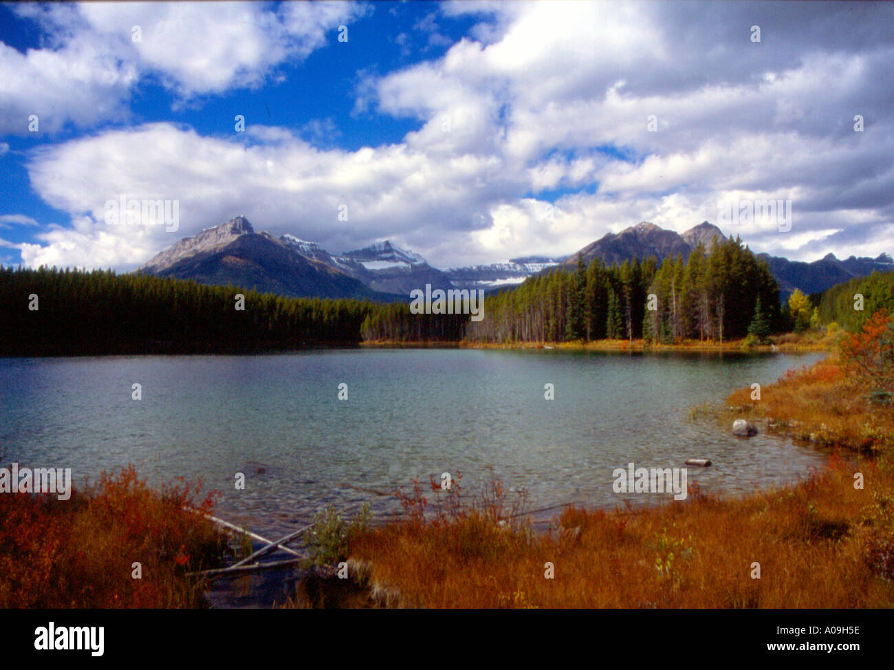 Waterfowl Lake Banff National Park Alberta Canada Stock Photo - Alamy
