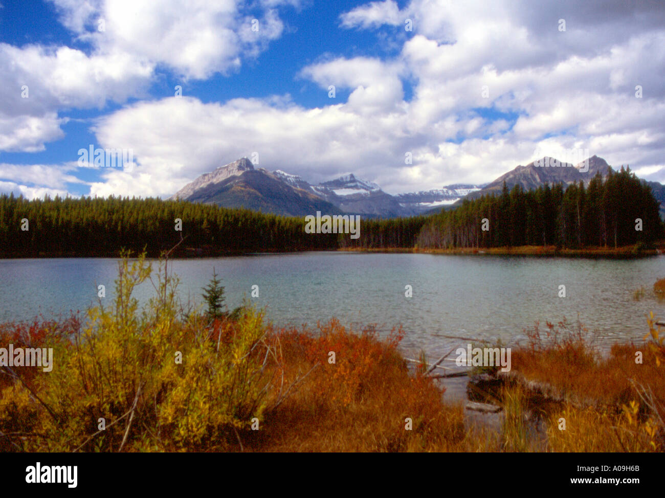 Waterfowl Lake Banff National Park Alberta Canada Stock Photo - Alamy