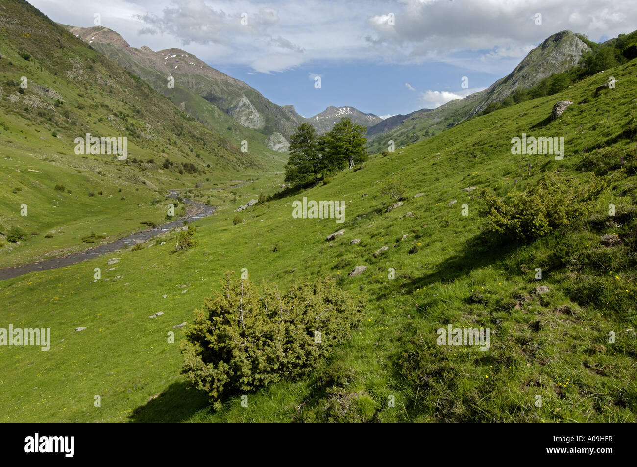 landscape in the Hecho valley, Spain, Pyrenaeen, Hecho-Tal Stock Photo ...