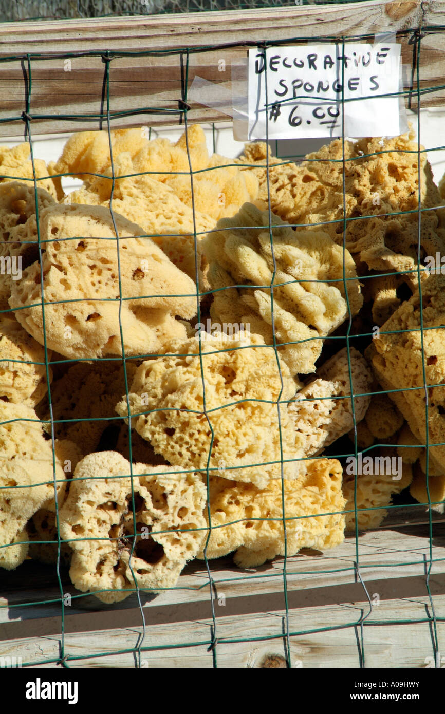 Sponges on sale in Tarpon Springs Florida. Sponge capital of the world ...