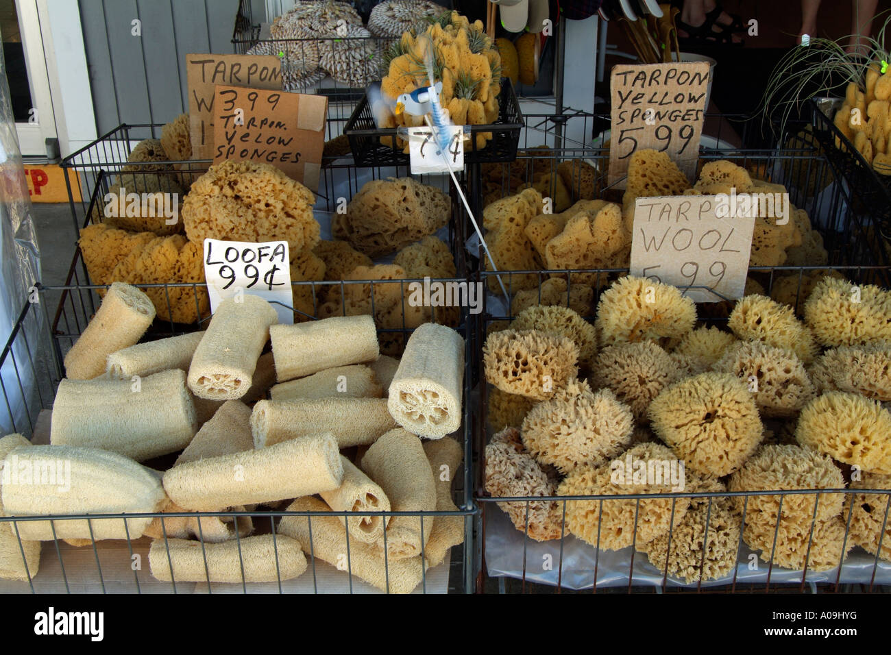 Sponges on sale in Tarpon Springs Florida. Sponge capital of the world ...