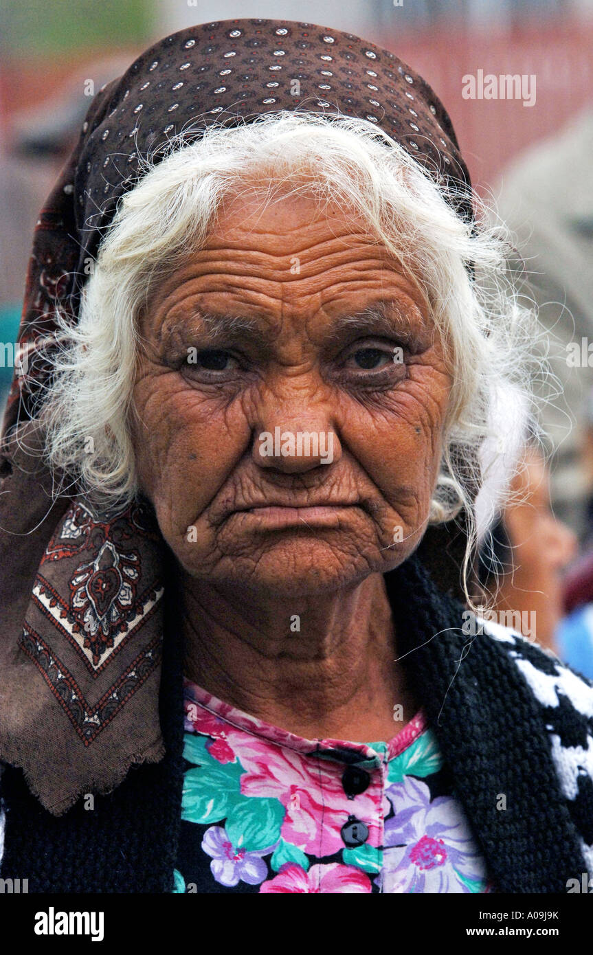 Gipsy horse hi-res stock photography and images - Alamy