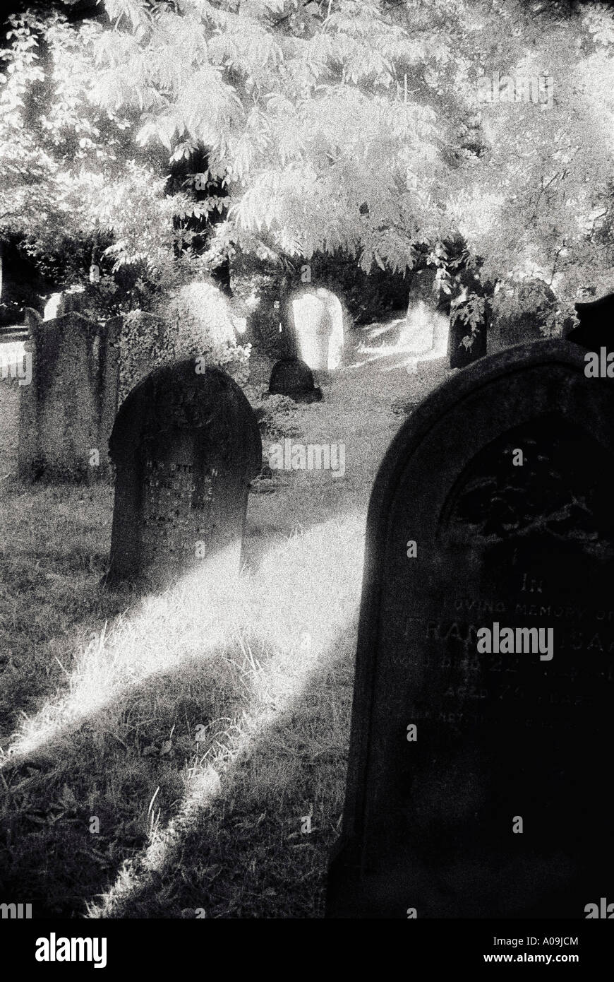 Gravestones In Sunshine, Rosary Cemetery Grave Yard, Autumn (fall ...