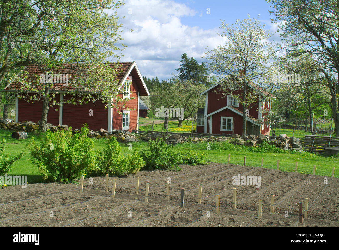 Farmhouse in Småland Sweden Stock Photo - Alamy
