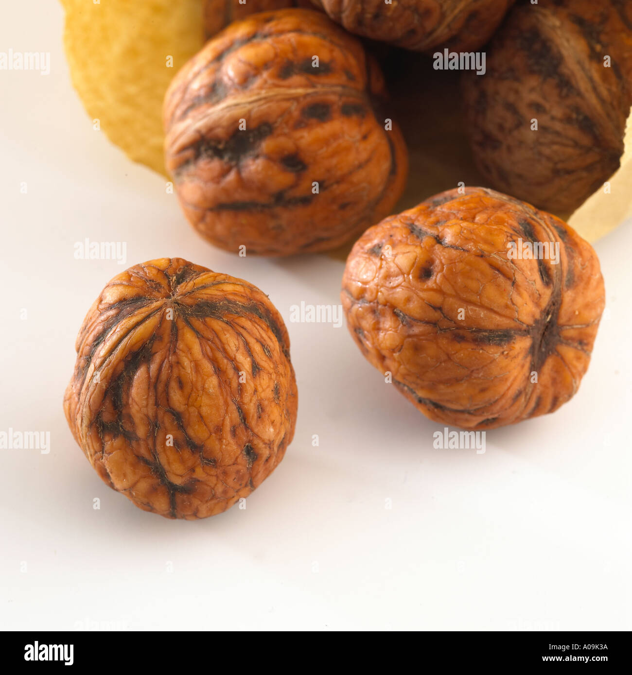Wet walnuts hi-res stock photography and images - Alamy