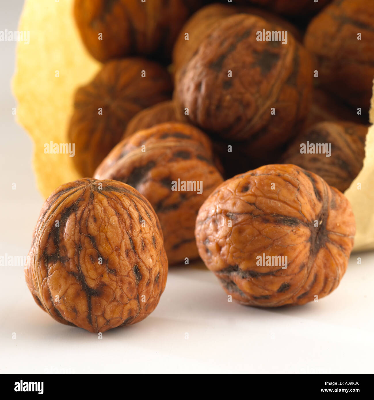Wet walnuts hi-res stock photography and images - Alamy