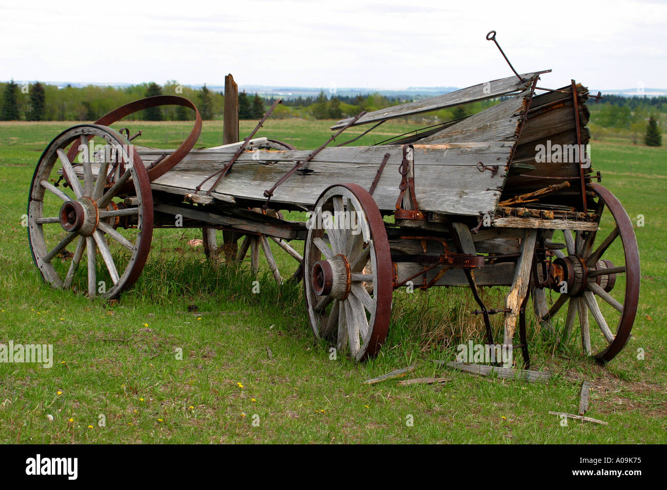 Old antique grain wagon Stock Photo - Alamy