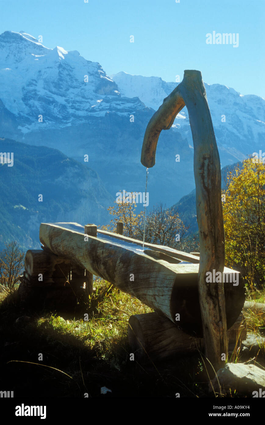Wooden water trough in the Alps near Lauterbrunnen in the Bernese ...